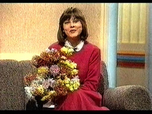 South Today 1987 – 1989 | TVARK