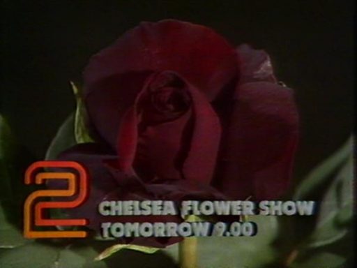 BBC2 Continuity & promo | TVARK