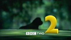 BBC Two Ident – Gorilla Shadow | TVARK