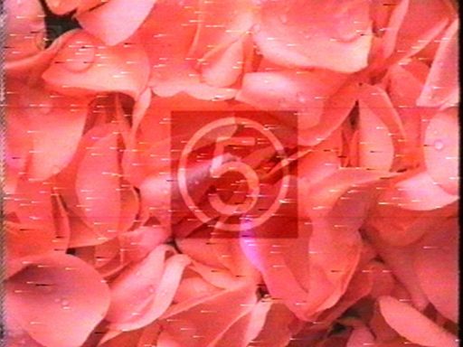 Channel 5 Ident | TVARK