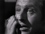 The Year of the Sex Olympics (2) | TVARK