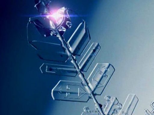 ATV Break Bumper | TVARK