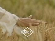 STER Bumpers – Field (2) | TVARK