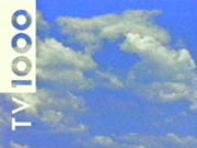 TV1000 Ident | TVARK