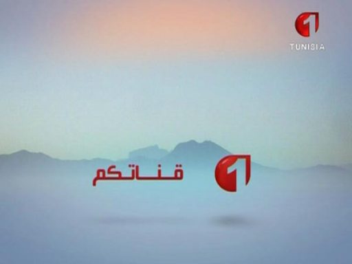 TV1 Idents (1) | TVARK