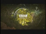 BBC America Ident – Magic Forest | TVARK