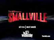 Next Smallville | TVARK