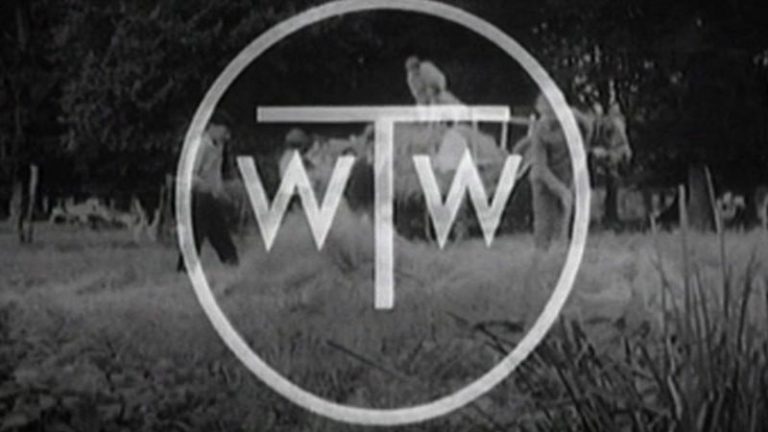 TWW Corporate Logo and Print Examples | TVARK