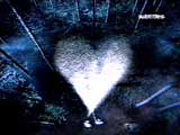 LWT ‘Forest’ Ident | TVARK