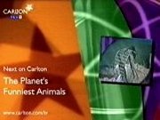 Carlton – Next | TVARK