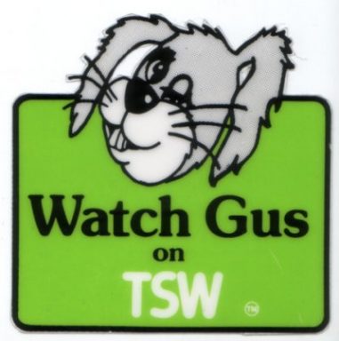 TSW Corporate Logo & Print Examples | TVARK