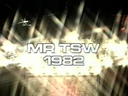 Mr TSW | TVARK