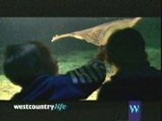 Ray, Dean and Craig | TVARK