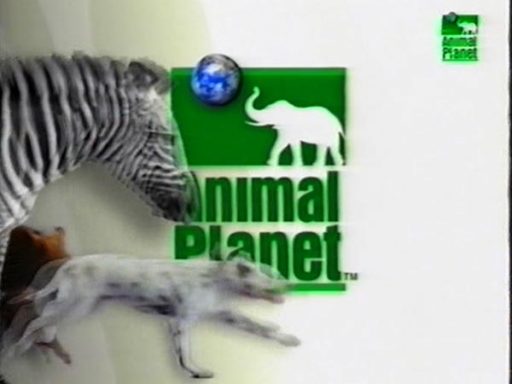 Animal Planet Ident | TVARK