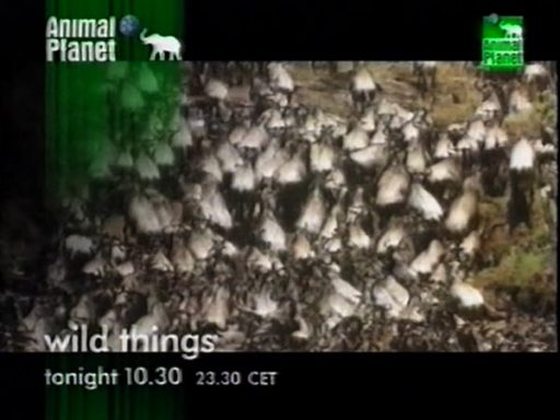 Animal Planet Programme Promotions (1) | TVARK