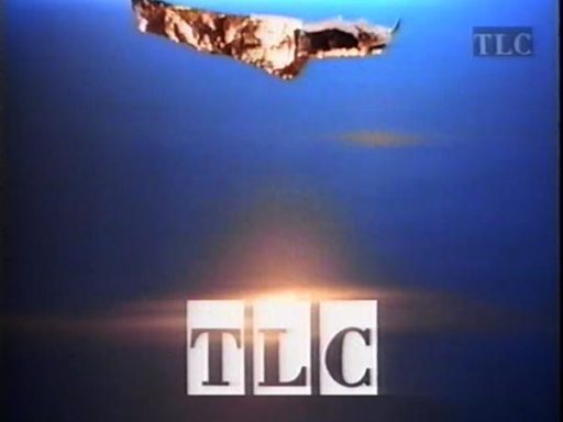 TLC Ident | TVARK