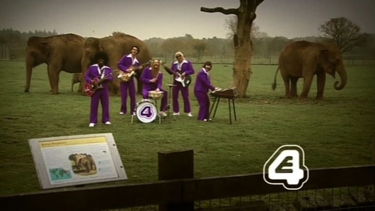 E4 Ident – Elephants | TVARK