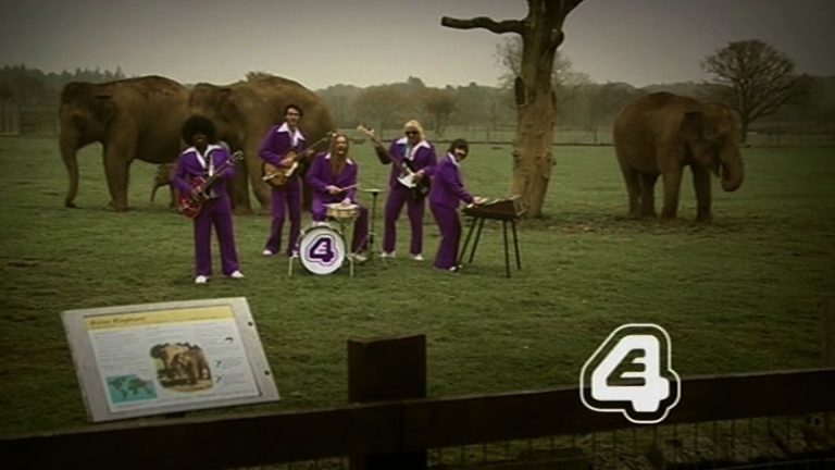 E4 Ident – Elephants 2 | TVARK
