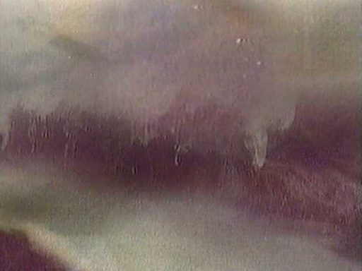 Border Ident (clean) | TVARK