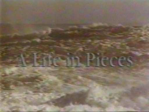 A Life in Pieces | TVARK