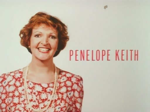 Executive Stress | TVARK