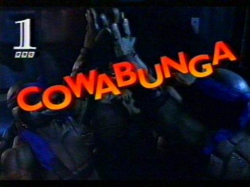 Teenage Mutant Ninja Turtles promo | TVARK