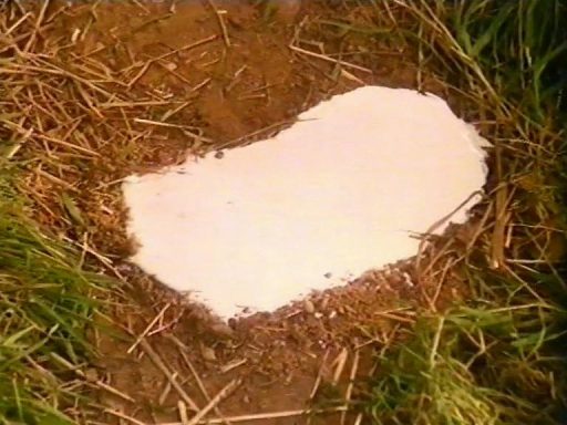 Ambrosia Rice Pudding | TVARK