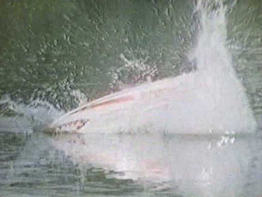 Condor Tabacco | TVARK