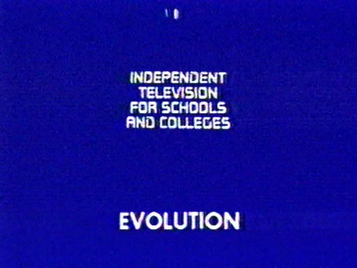ITV Schools – Evolution | TVARK