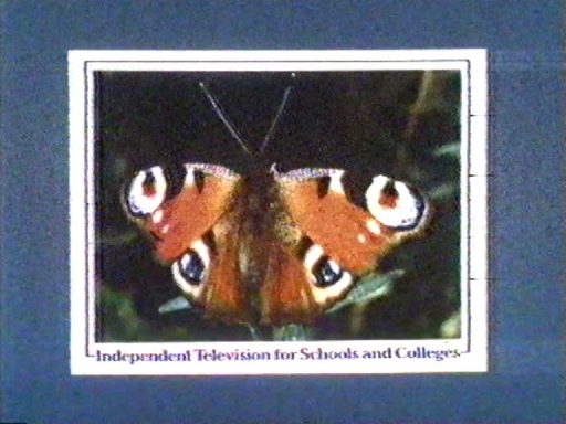 ITV Schools – Picturebox | TVARK