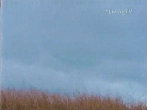 Living TV Ident | TVARK