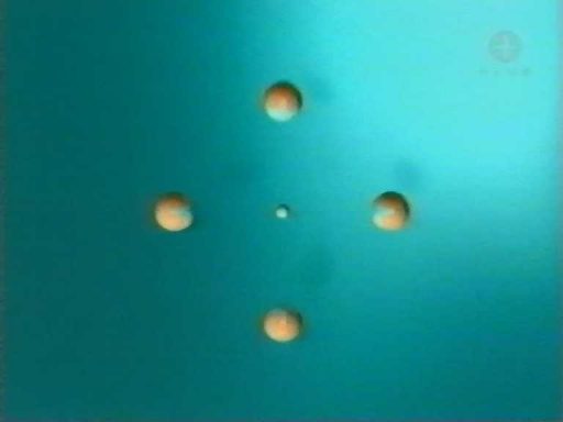 Plus Ident | TVARK