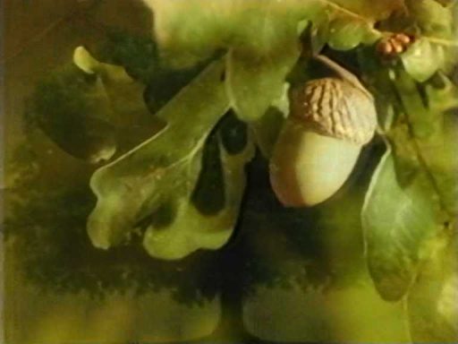 BBC Learning Zone startup | TVARK