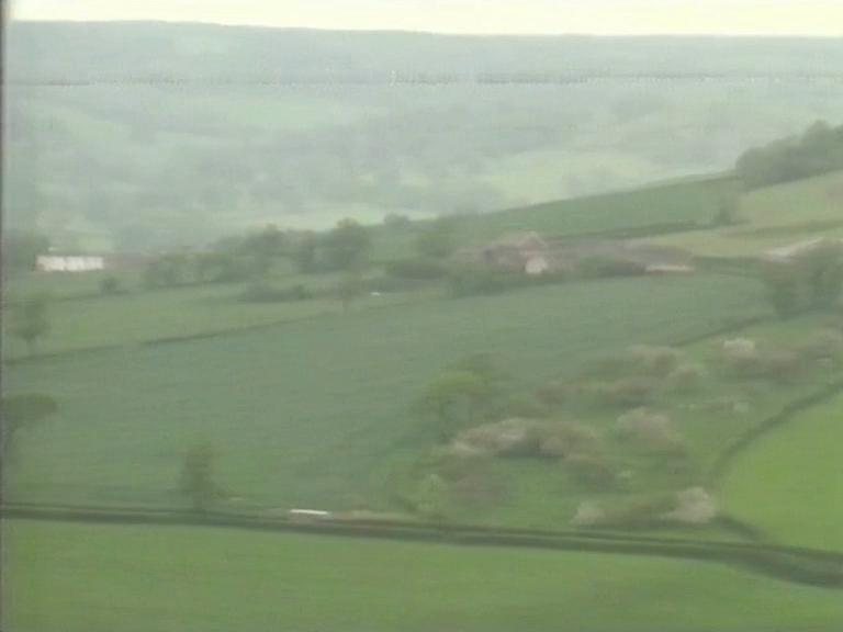 Mama Punda The Donkey Woman | TVARK