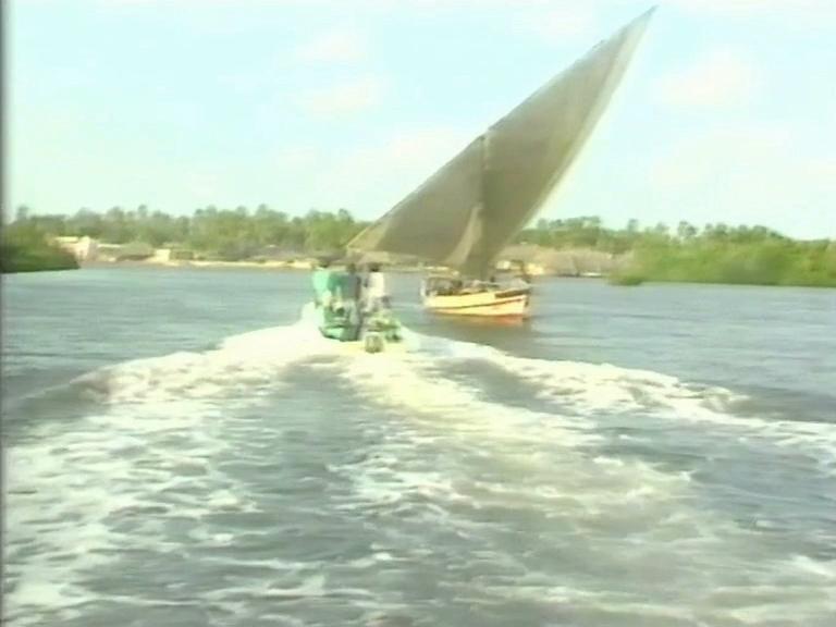 Mama Punda The Donkey Woman | TVARK