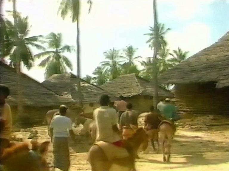 Mama Punda The Donkey Woman | TVARK