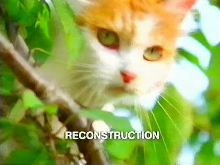 McDonald’s | TVARK