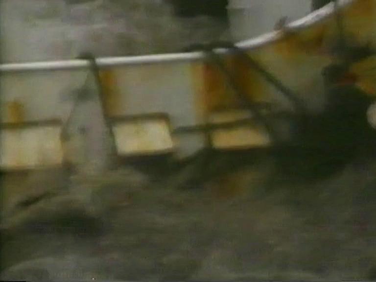 Terrors of the Deep | TVARK